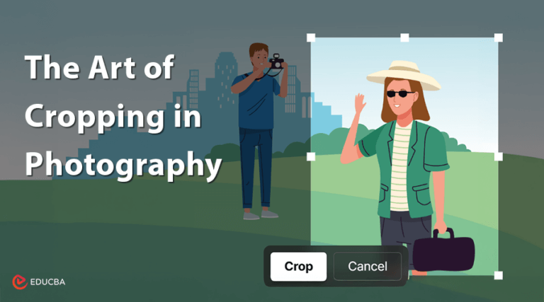 The Art of Cropping in Photography | Tips for Stunning Photos