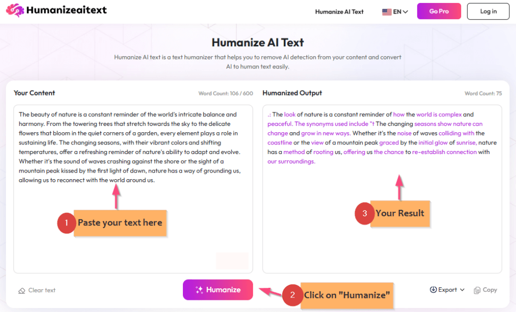 Humanizeaitext.co Review | Importance, Features & Target Audience