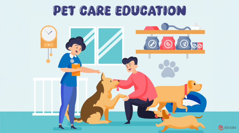 Pet Care Education | Essential Tips for a Happy, Healthy Pet
