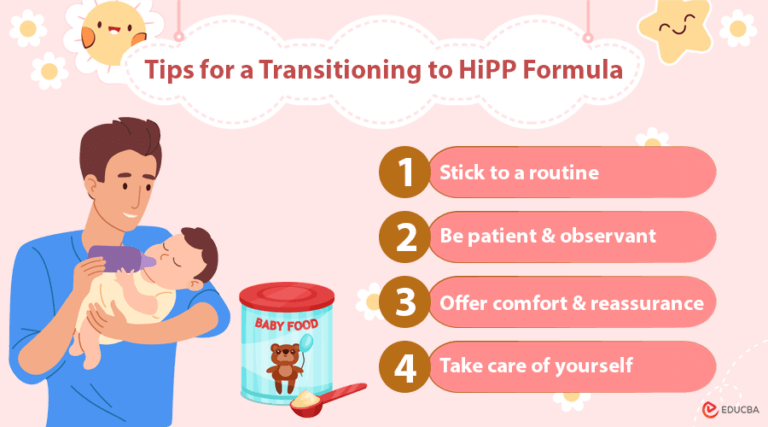 Transitioning to HiPP Formula | A Guide for Parents