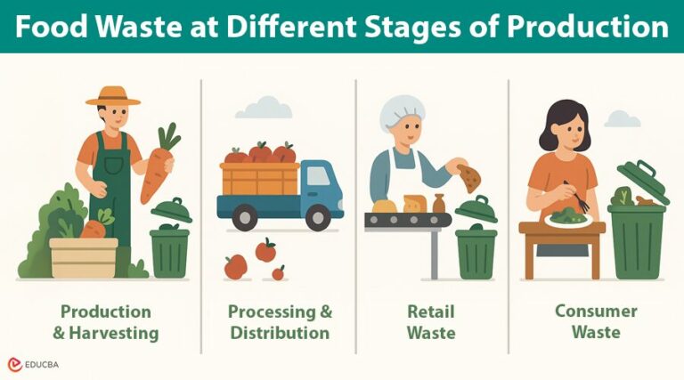 Understanding Food Waste | Why It Happens & How to Stop It