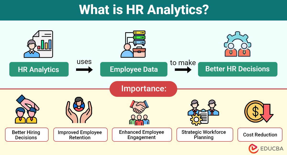 HR Analytics | Importance, Types, Tools & How to Get Starte