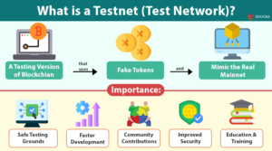 Testnet Meaning Importance How To Use Examples Use Cases