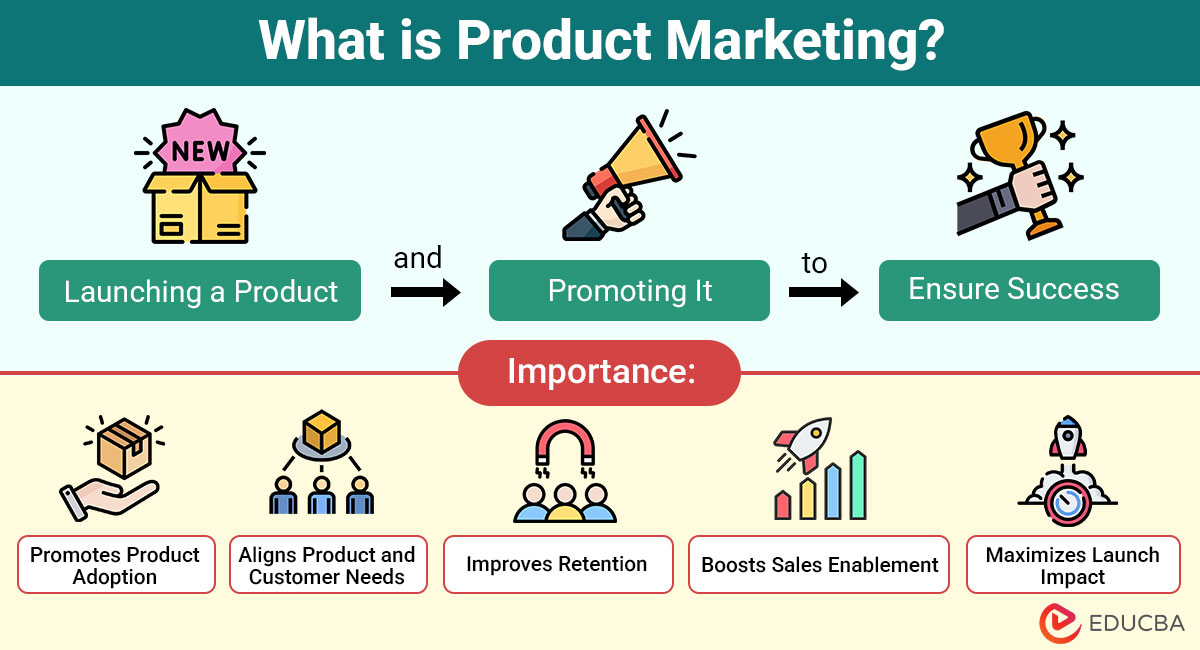 Understanding Product Marketing: A Guide for Beginners