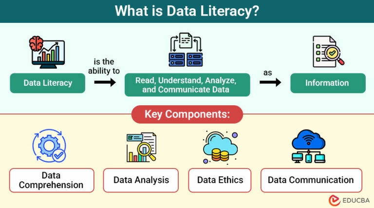 Data Literacy Explained: Importance, Components, Strategie
