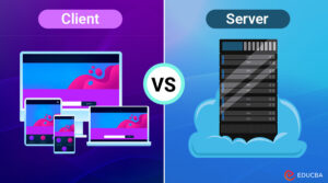 Client vs Server: Key Differences Explained