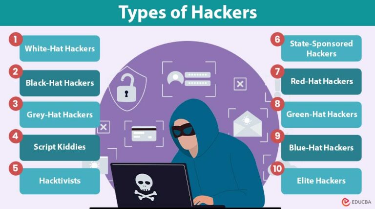 Types of Hackers | Characteristics, Examples