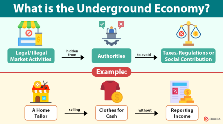 Underground Economy | Meaning, Features, Examples & Causes