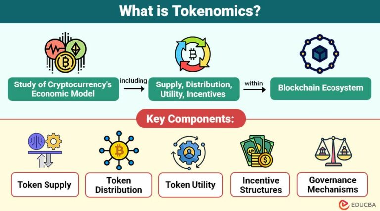 What is Tokenomics? A Beginner's Guide to Crypto Economics