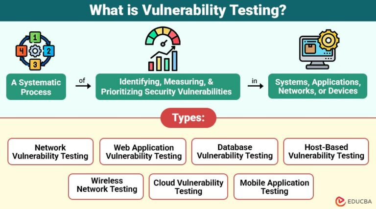 Vulnerability Testing Importance Types Steps Tools