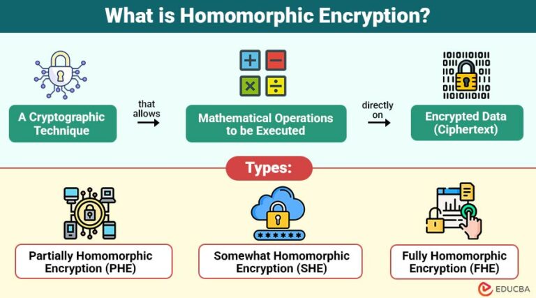 Homomorphic Encryption | Importance, Working, Types