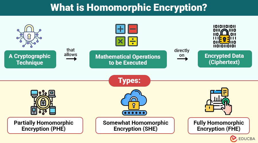 Homomorphic Encryption | Importance, Working, Types