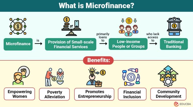 Microfinance | Features, Types, Benefits, Examples