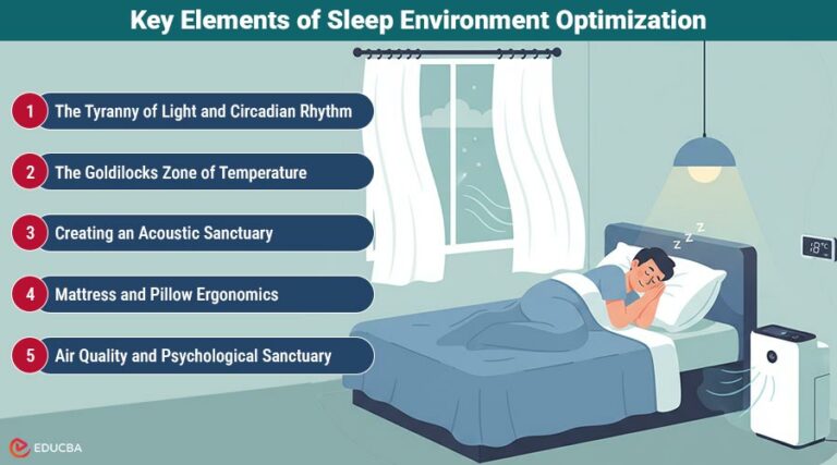 Sleep Environment Optimization | Key Tips for Better Sleep