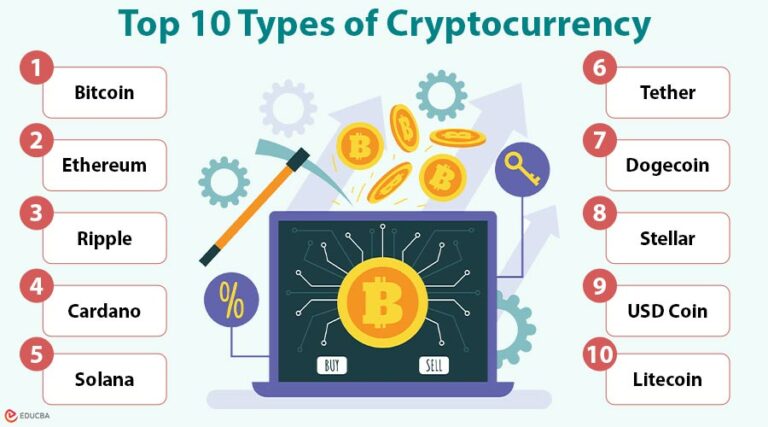 Types of Cryptocurrency | Key Features, Use Cases