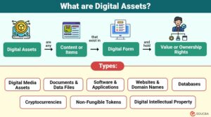 Digital Assets | Importance, Types, Applications