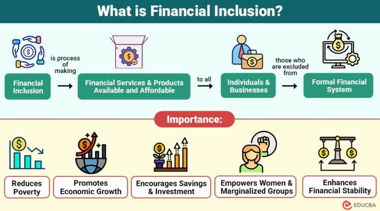 Financial Inclusion | Importance, Components, Global Efforts