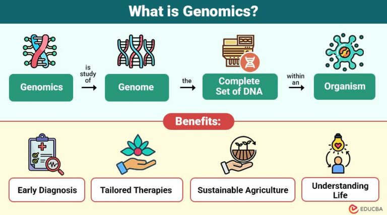 Genomics | Importance, Applications, Benefits, Examples