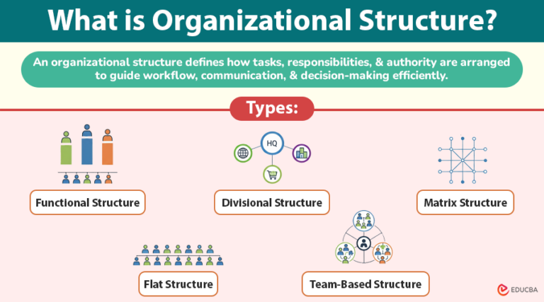 Organizational Structure | Components, Types & Best Practices