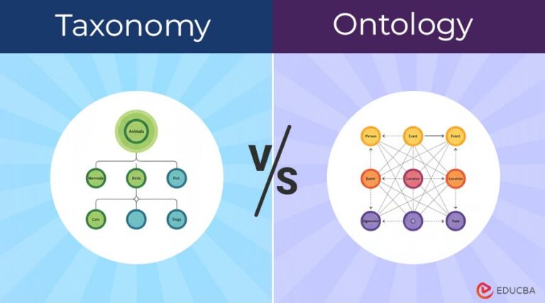 Taxonomy vs Ontology: Which One to Choose?