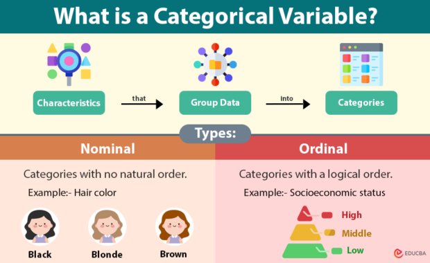 Categorical Variable | Meaning, Types, Examples & Importance