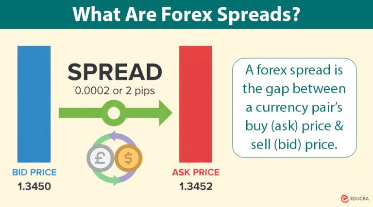 Forex Spreads | Meaning, Types, Factors & Trading Impact