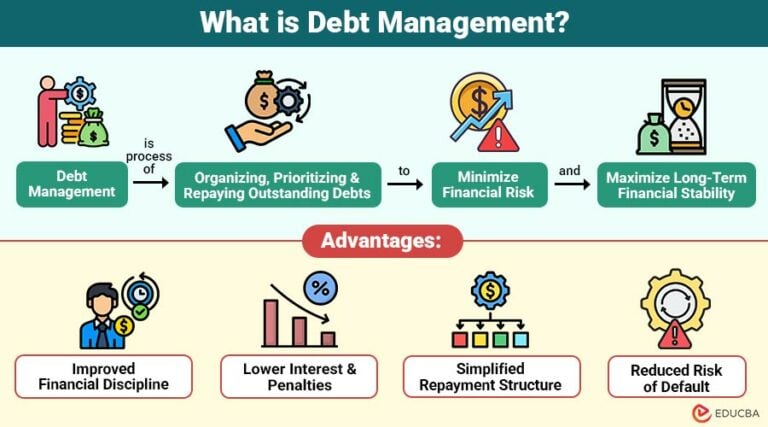 Debt Management | Strategies, Tools, Advantages, Examples