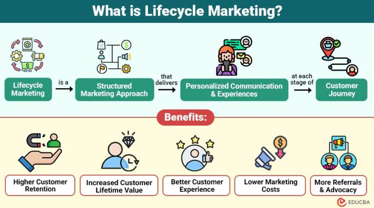 Lifecycle Marketing | Objectives, Stages, Strategy