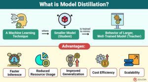 Model Distillation | Working, Components, Types, Advantages