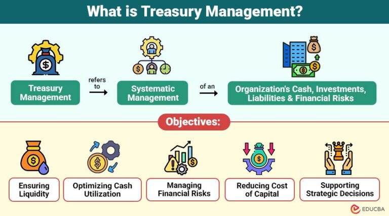 What is Treasury Management? | Objectives, Components