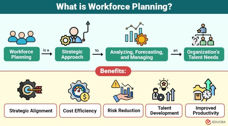 Workforce Planning | Types, Steps, Benefits, Examples