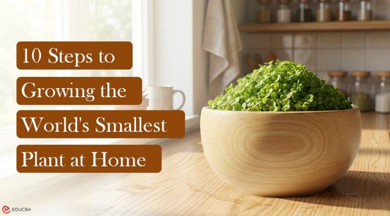 How to Grow the World's Smallest Plant at Home?