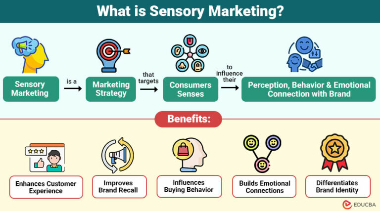 Sensory Marketing | Five Types, Benefits, Strategy, Examples