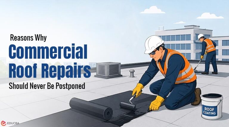 4 Reasons Never to Delay Commercial Roof Repairs